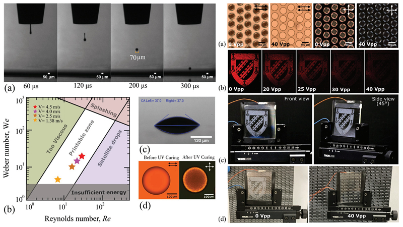 上海睿度光电科技有限公司 - MicroFab