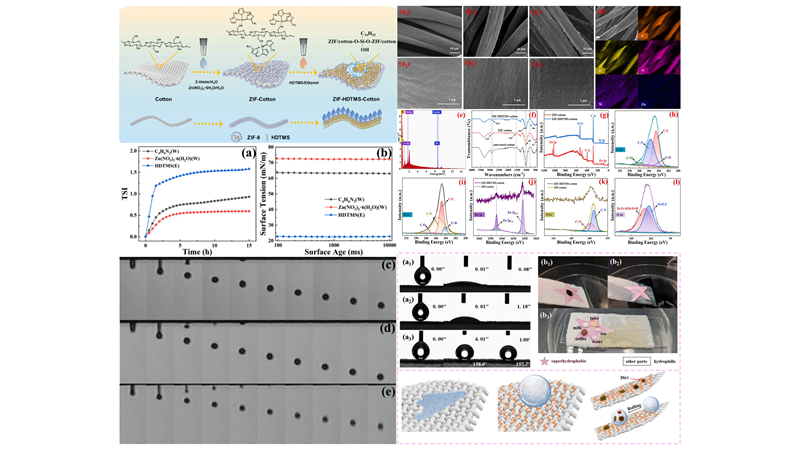 上海睿度光电科技有限公司 - MicroFab