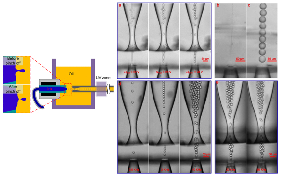 MicroFab喷墨打印应用案例——流体动力学研究 - 睿度光电 RUIDU