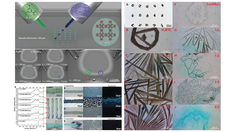 上海睿度光电科技有限公司 - MicroFab