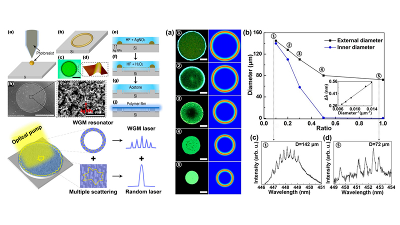 上海睿度光电科技有限公司 - MicroFab