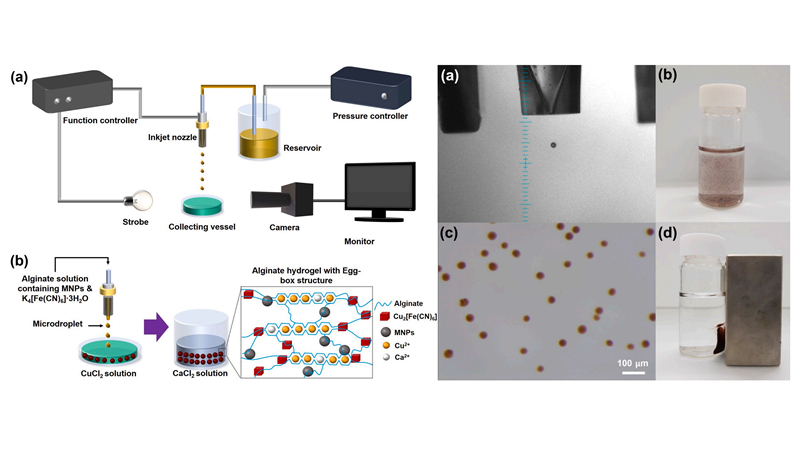 上海睿度光电科技有限公司 - MicroFab