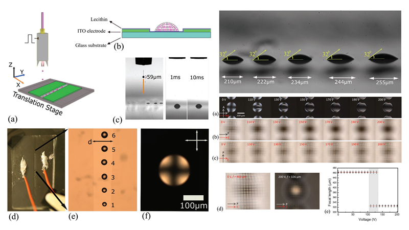 上海睿度光电科技有限公司 - MicroFab