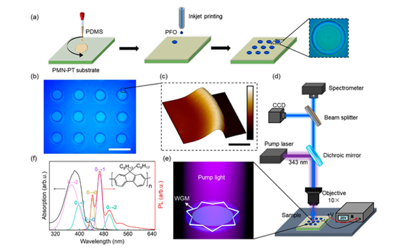 MicroFab喷墨打印应用案例——WGM微腔结构 - 睿度光电 RUIDU