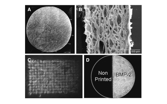 MicroFab喷墨打印应用案例——打印生长因子 - 睿度光电 RUIDU