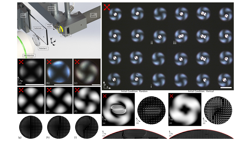 上海睿度光电科技有限公司 - MicroFab