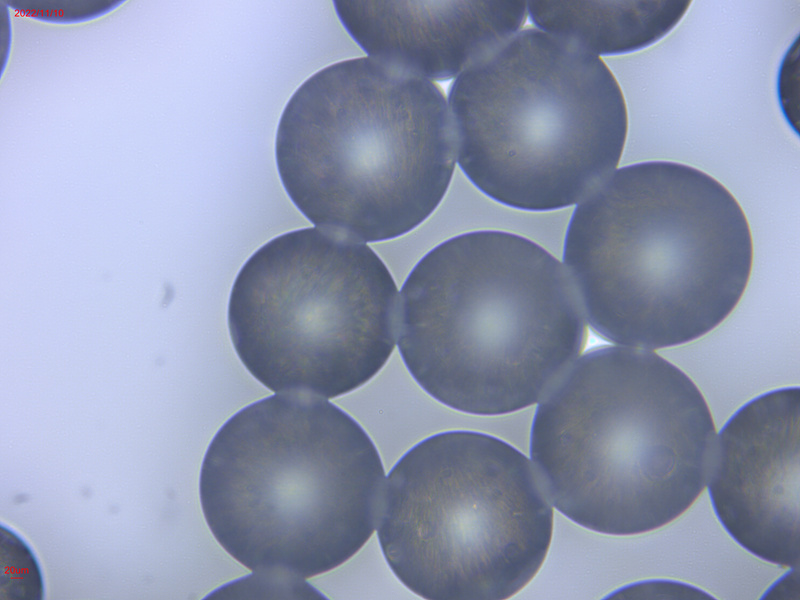 睿度光电RUIDU——应用 - 生命科学 - MicroFab