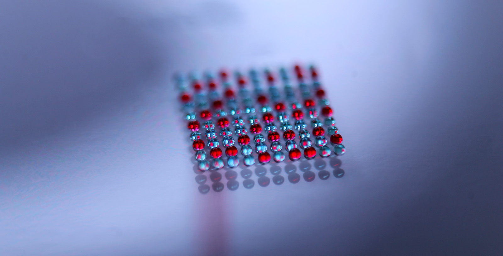 上海睿度光电科技有限公司 - MicroFab