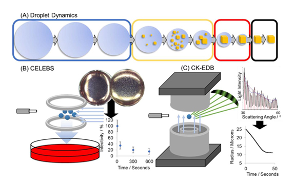 MicroFab喷墨打印应用案例——生物气溶胶液滴（评估控制病原体空气传播寿命的潜在机制） - 睿度光电 RUIDU