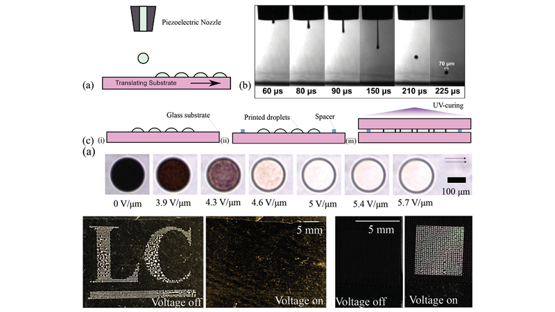 上海睿度光电科技有限公司 - MicroFab