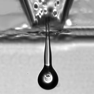 睿度光电RUIDU——应用 - 生命科学 - MicroFab