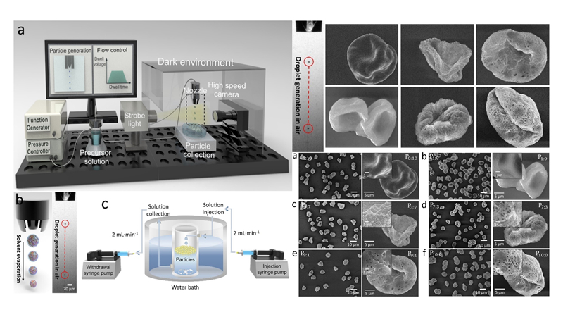 上海睿度光电科技有限公司 - MicroFab