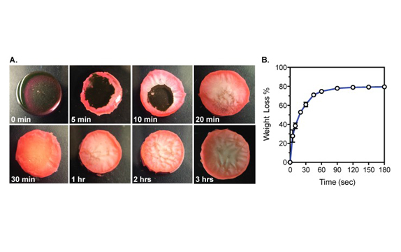 MicroFab喷墨打印应用案例——3D制药 - 睿度光电 RUIDU