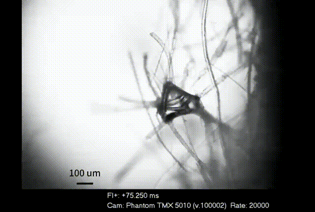 MicroFab Inkjet喷墨打印技术赋能精准纤维调控，助力制备双刻度 Janus 过滤器 - 睿度光电 RUIDU