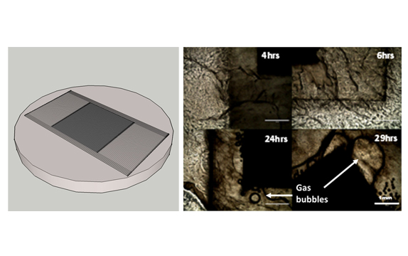 MicroFab喷墨打印应用案例——气管支架镁合金聚合物涂层喷涂 - 睿度光电 RUIDU