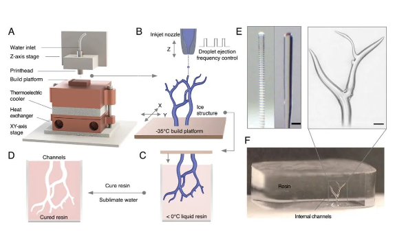 MicroFab喷墨打印应用案例——神经导管打印 - 睿度光电 RUIDU