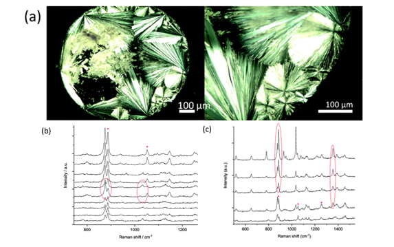 MicroFab喷墨打印应用案例——研究d -甘露醇结晶行为 - 睿度光电 RUIDU