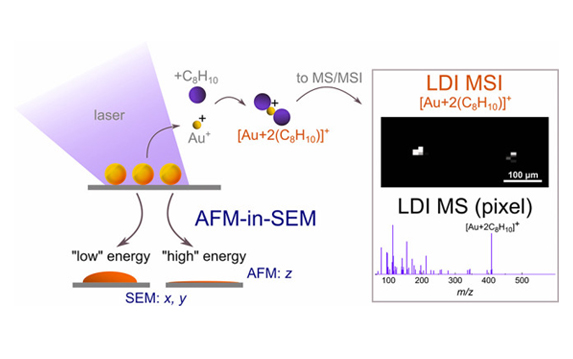 MicroFab喷墨打印应用案例——激光解吸/电离质谱（LDI MSI）金纳米样品阵列 - 睿度光电 RUIDU